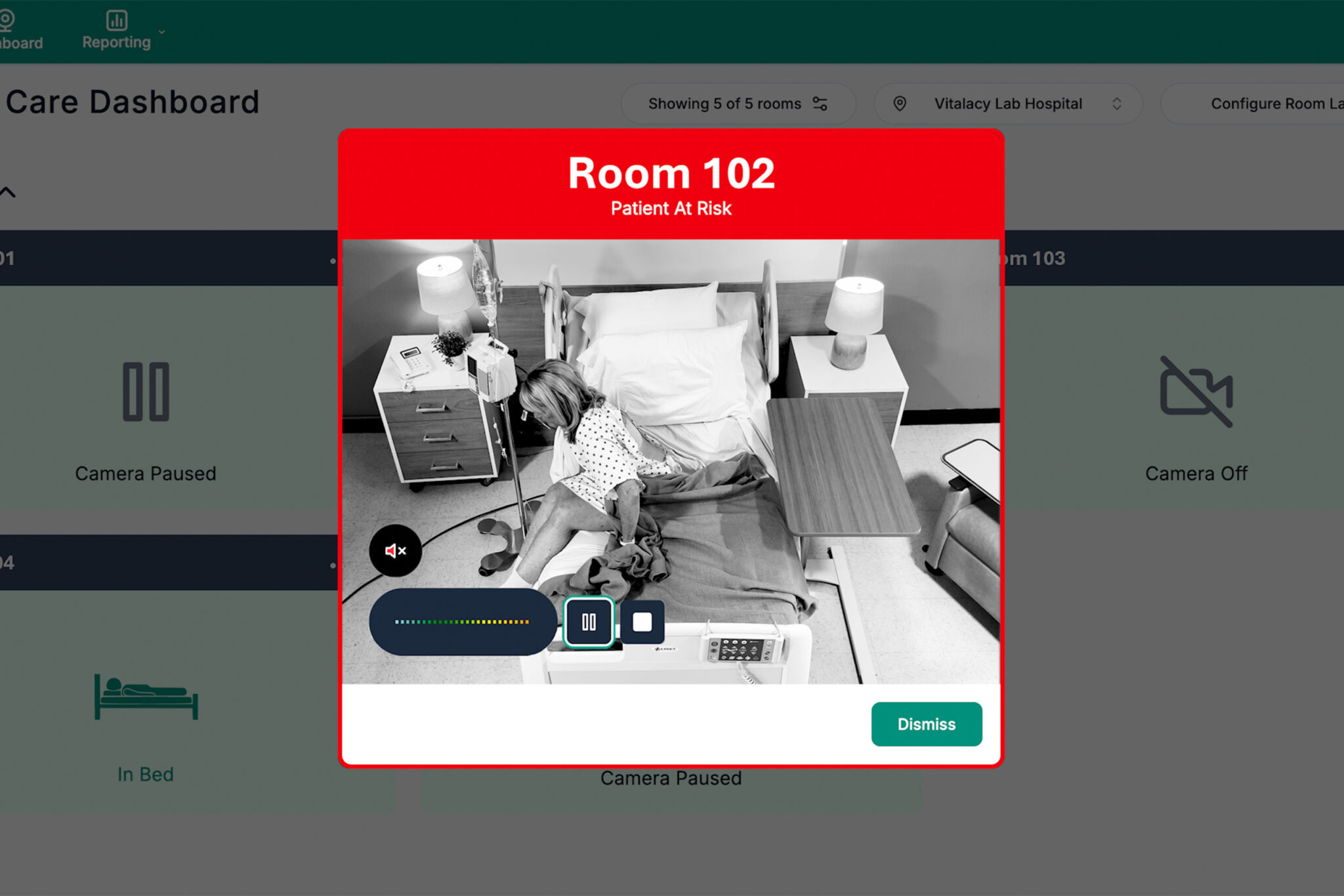 Virtual Sitter - Vitalacy, Inc.